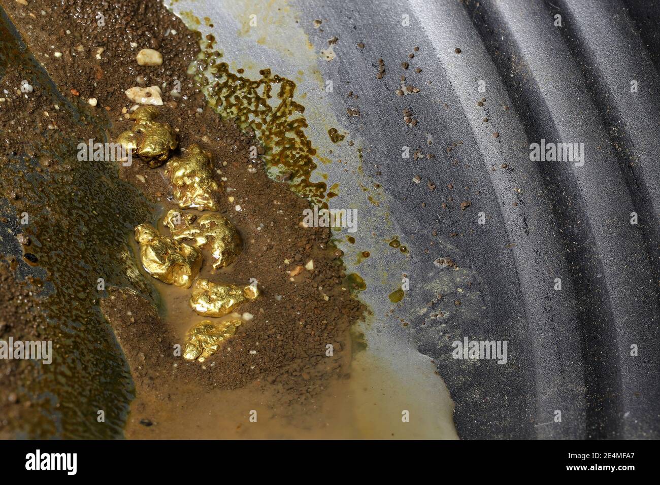 Prospector washing gold hi-res stock photography and images - Alamy