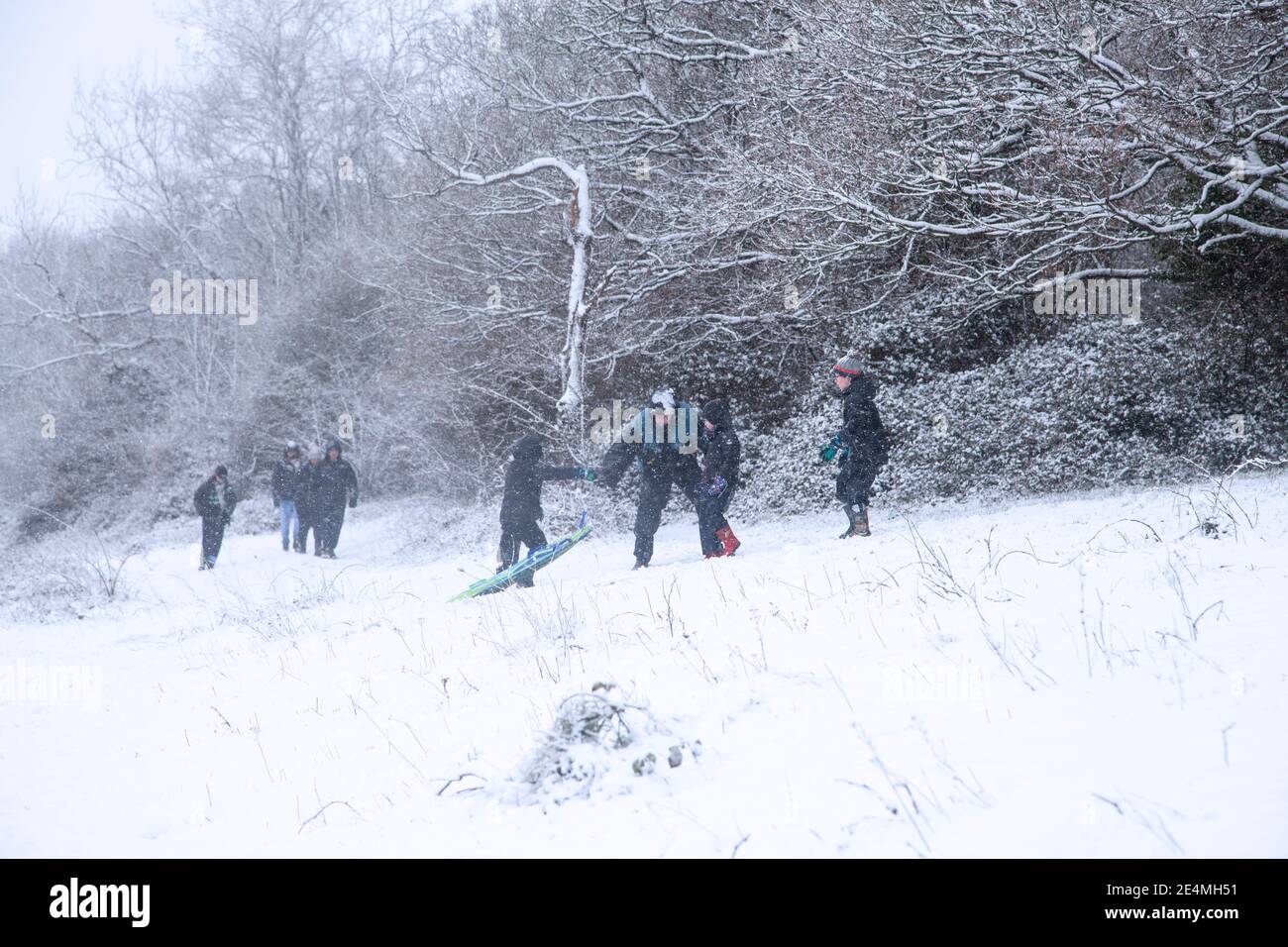 People enjoying the snow in Riddlesdown common Stock Photo - Alamy