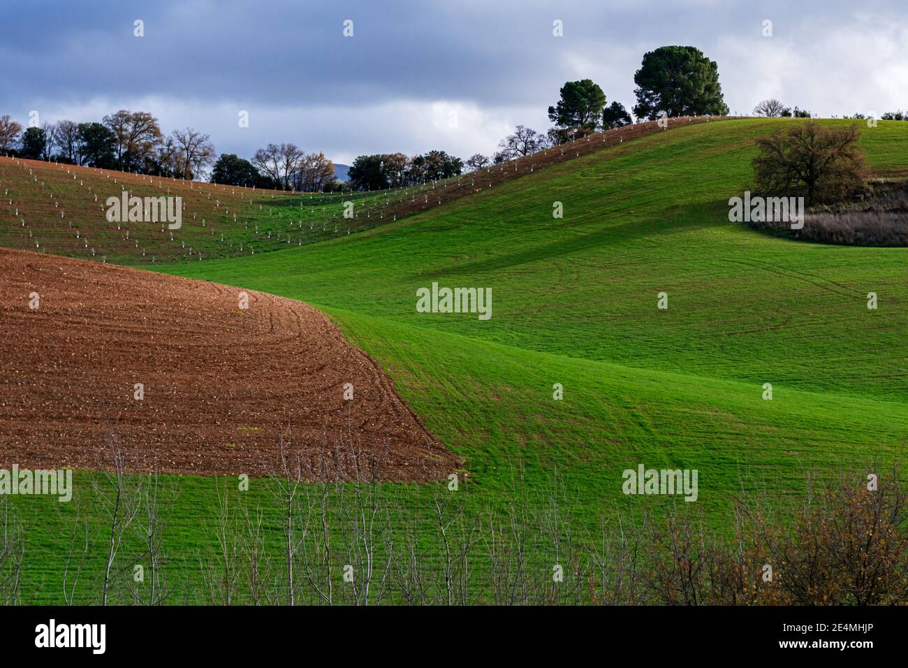 Landscape of small hills with farmland and trees on the horizon Stock ...