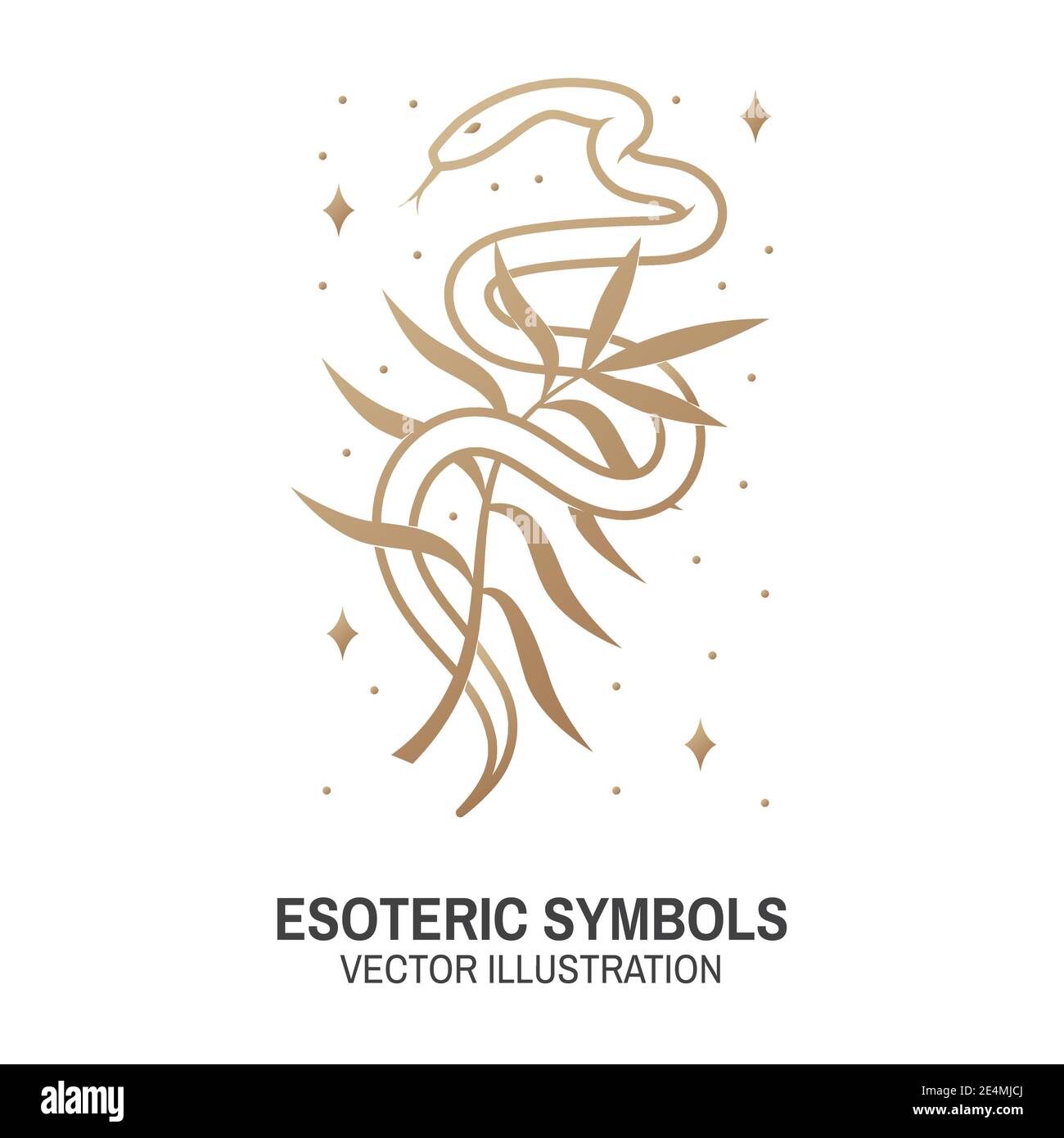 Wildflower magic Cut Out Stock Images & Pictures - Alamy