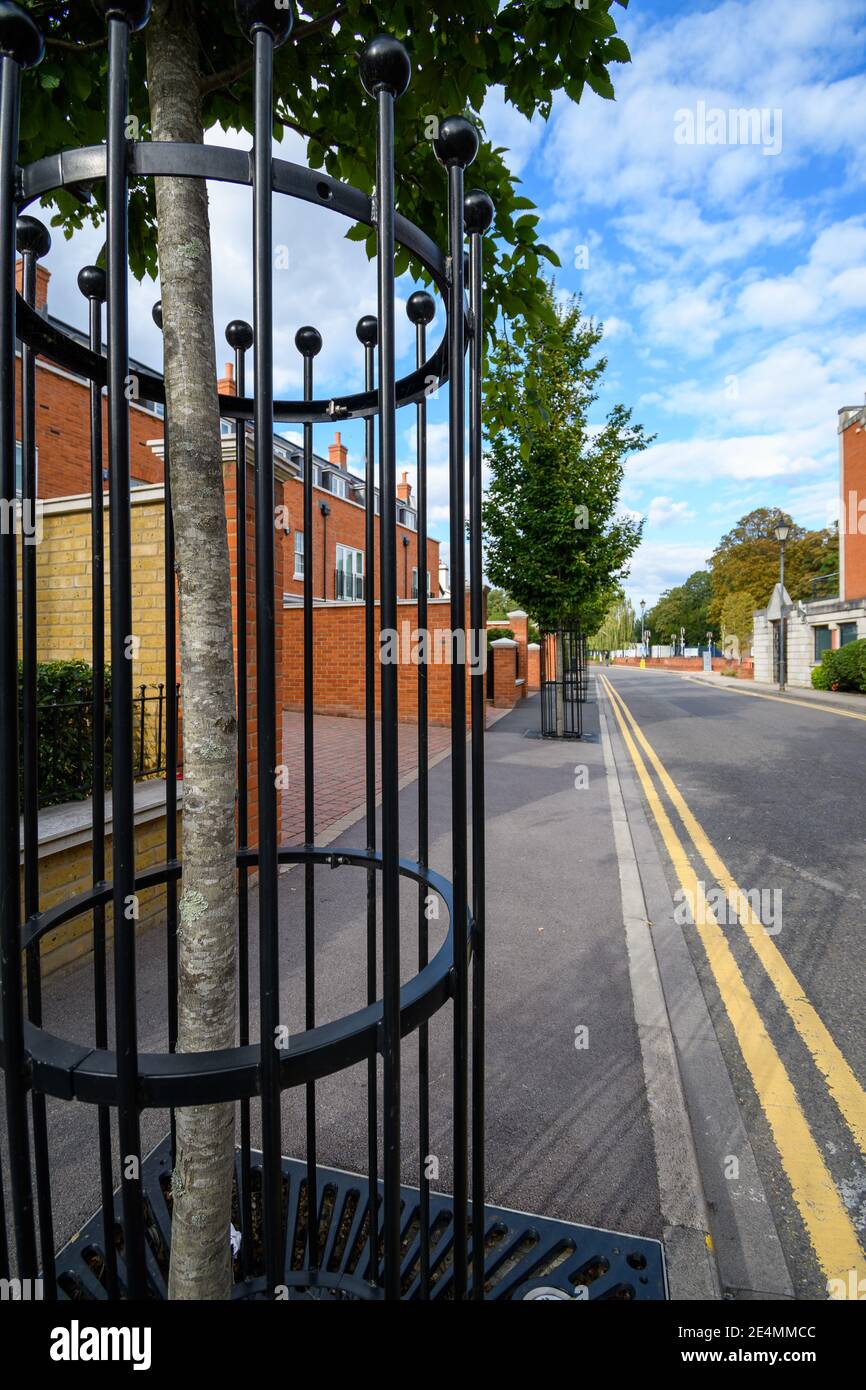 Fenced in trees Stock Photo - Alamy