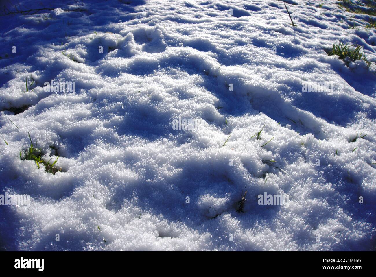 The breaking ground garden hi-res stock photography and images - Alamy