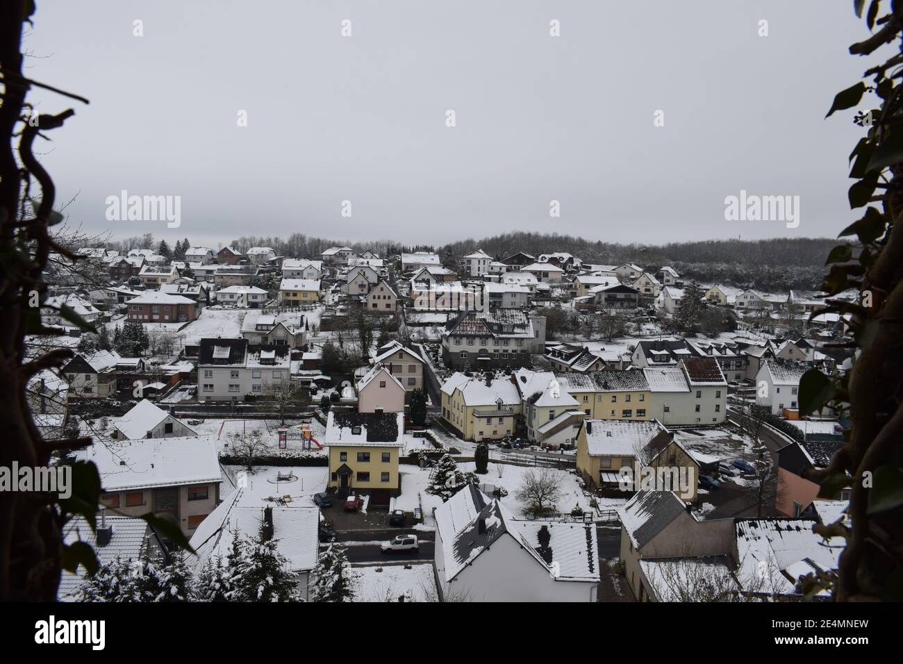 Ulmen in winter with light snow Stock Photo - Alamy