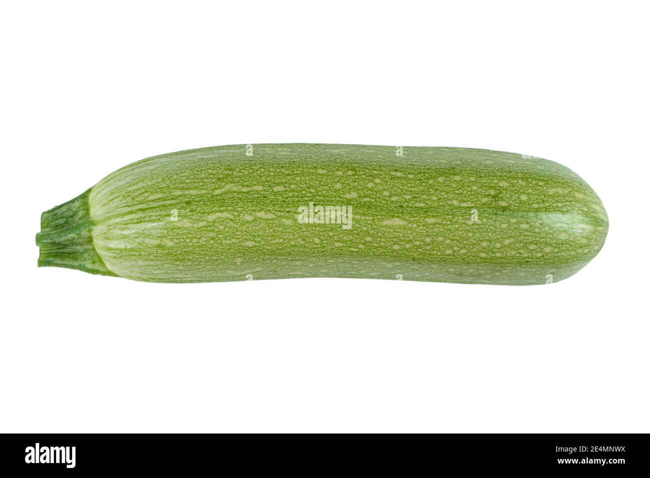 Raw green ripe zucchini isolated on white background. Zucchini or ...