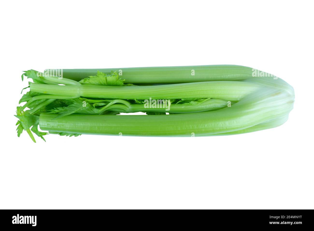 Bunch of celery sticks isolated on the white background. Celery branch ...