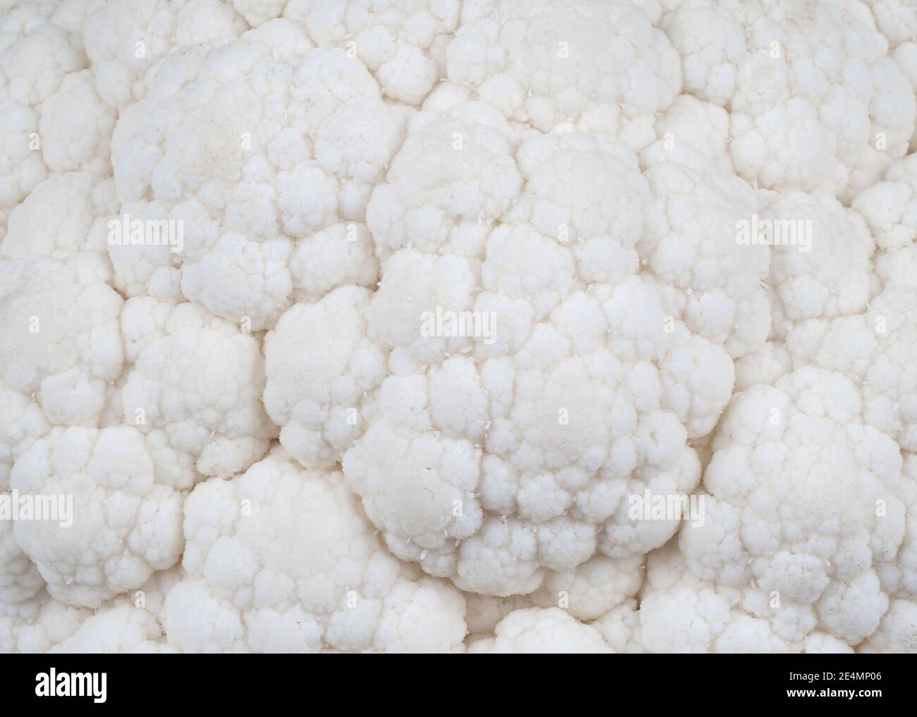Wholec Cauliflower texture background. Fresh Cauliflower vegetable ...
