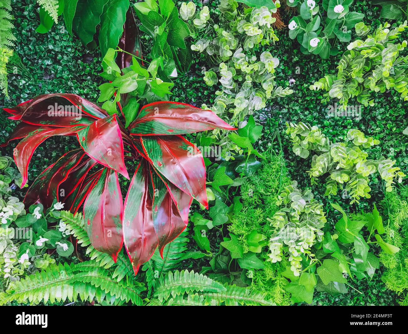 Many beautiful artificial green plant decoration on the wall and make ...