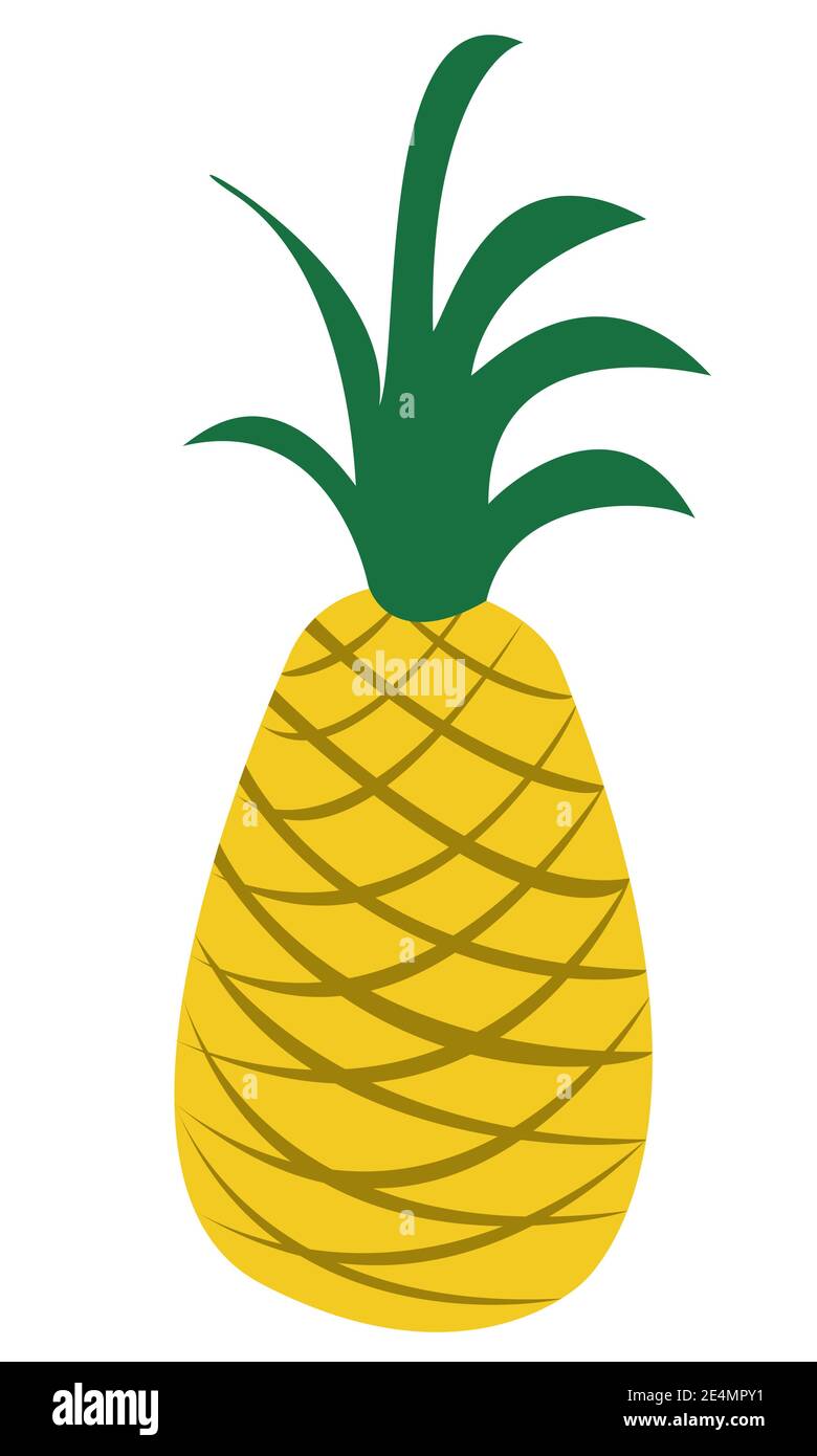Pineapple fruit whole cut Stock Vector Images - Alamy