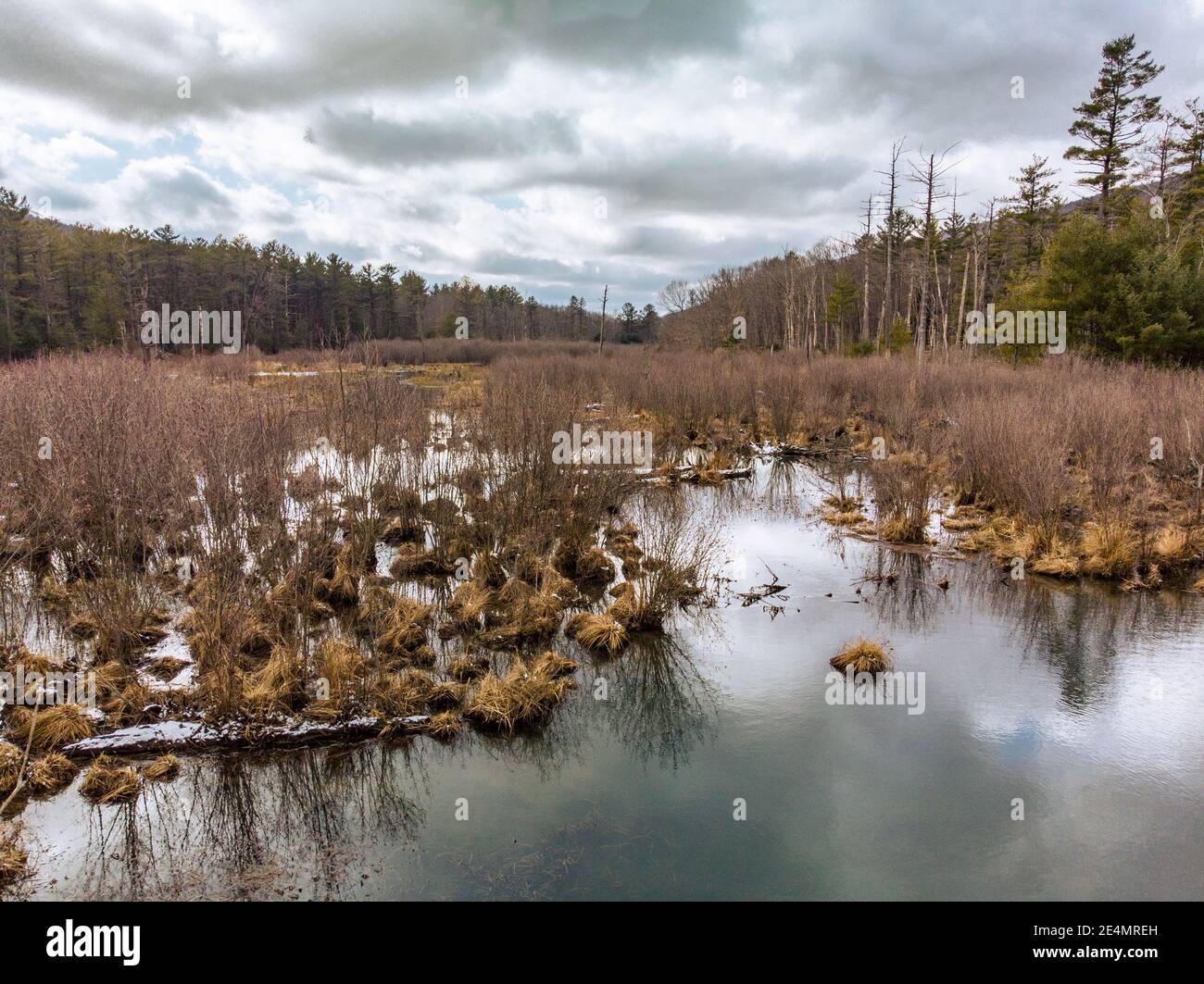 Modified habitat hi-res stock photography and images - Alamy