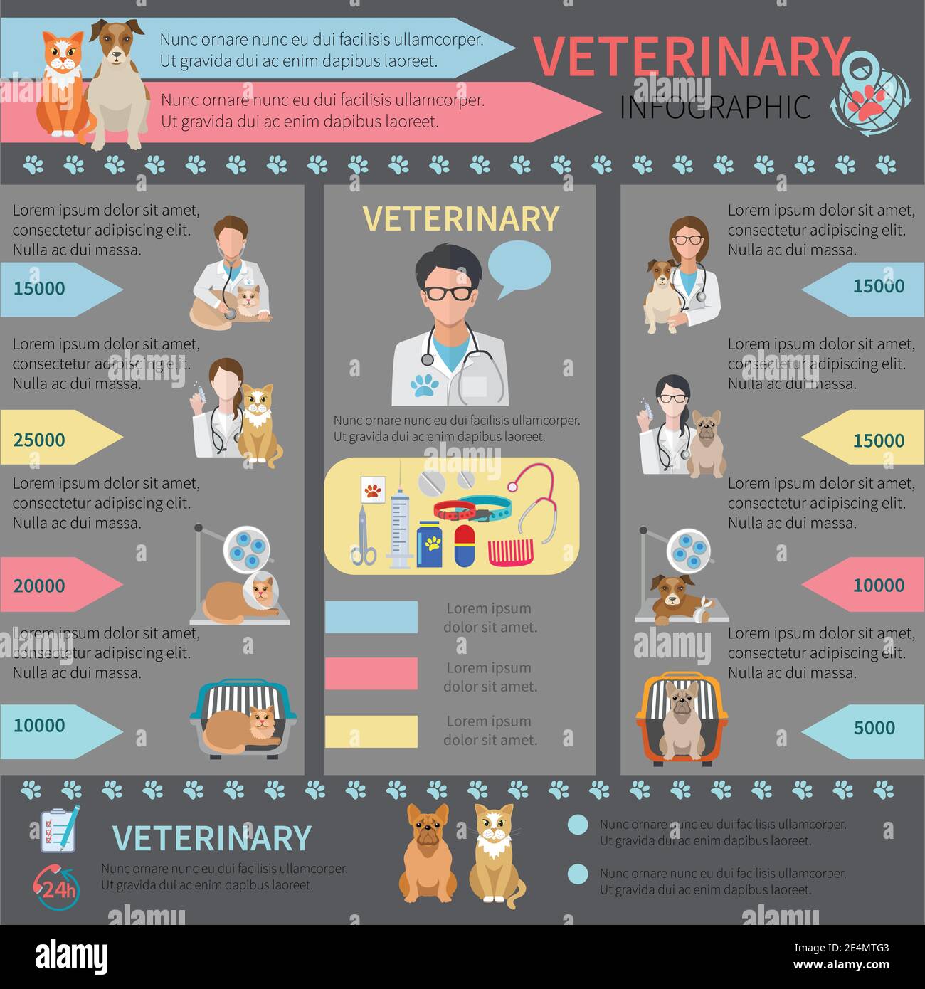 Veterinary flat infographic set with pet doctor and animals vector illustration Stock Vector ...