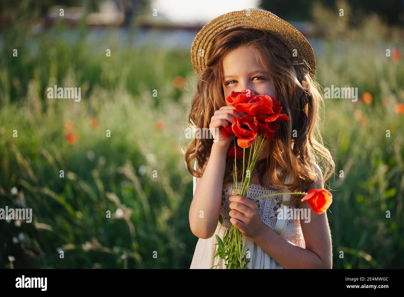 cute little girl in meadow with red poppies Stock Photo - Alamy