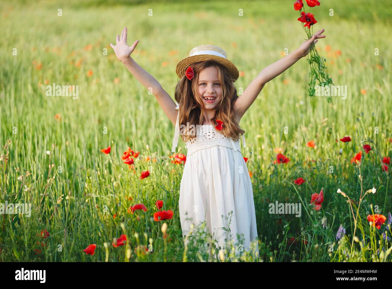 cute little girl in meadow with red poppies Stock Photo - Alamy