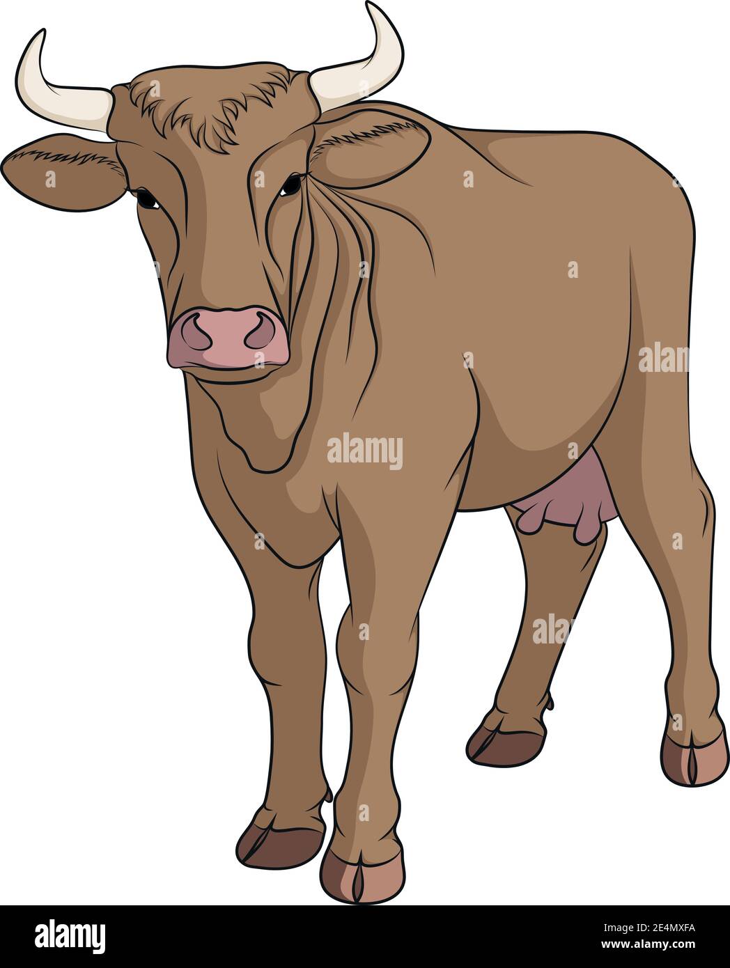 Color illustration with brown cow. Isolated vector object on white ...