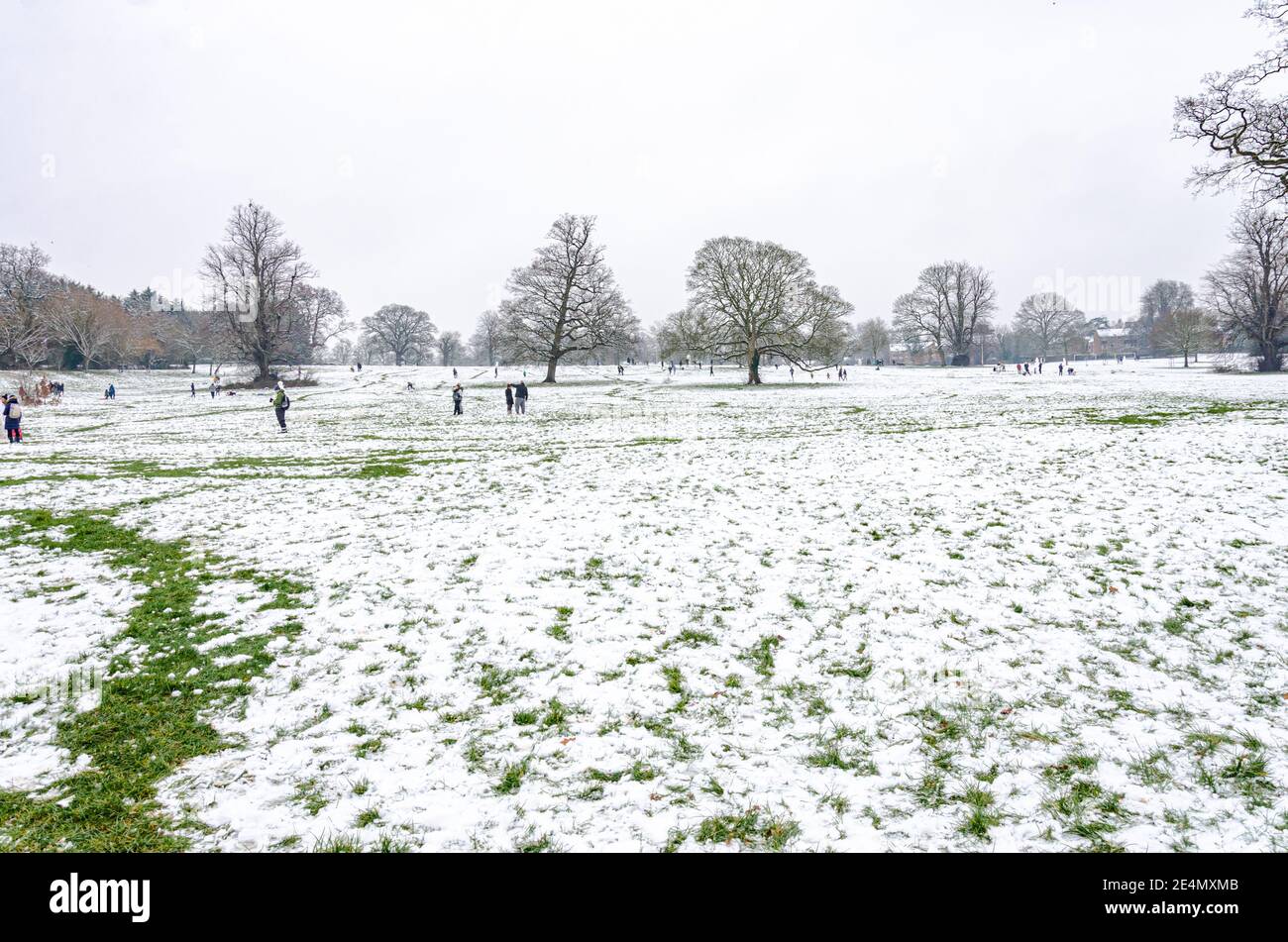 A view across Prospect Park in Reading, Berkshire, UK which is covered ...