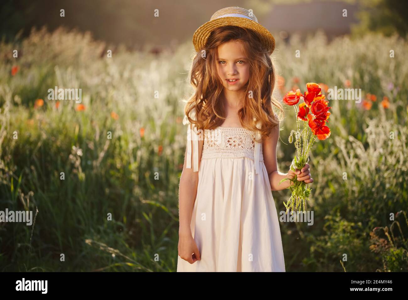 cute little girl in meadow with red poppies Stock Photo - Alamy