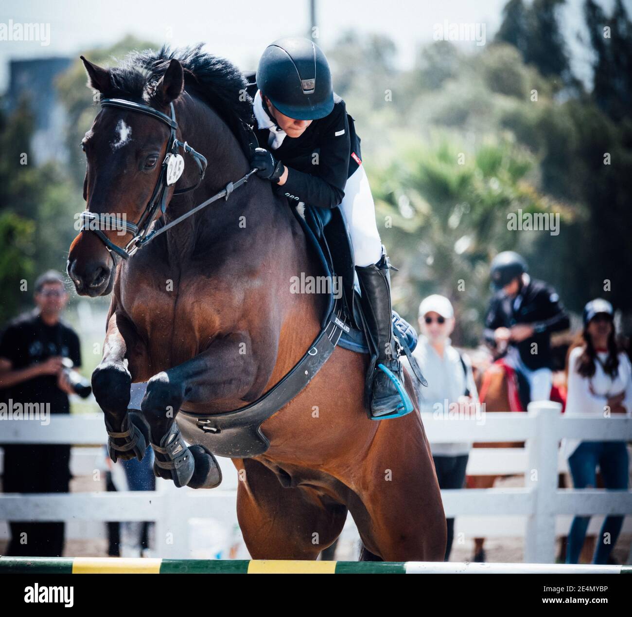 Daniel With Abu-Dhabi at FEI World Jumping Challenge Stock Photo - Alamy