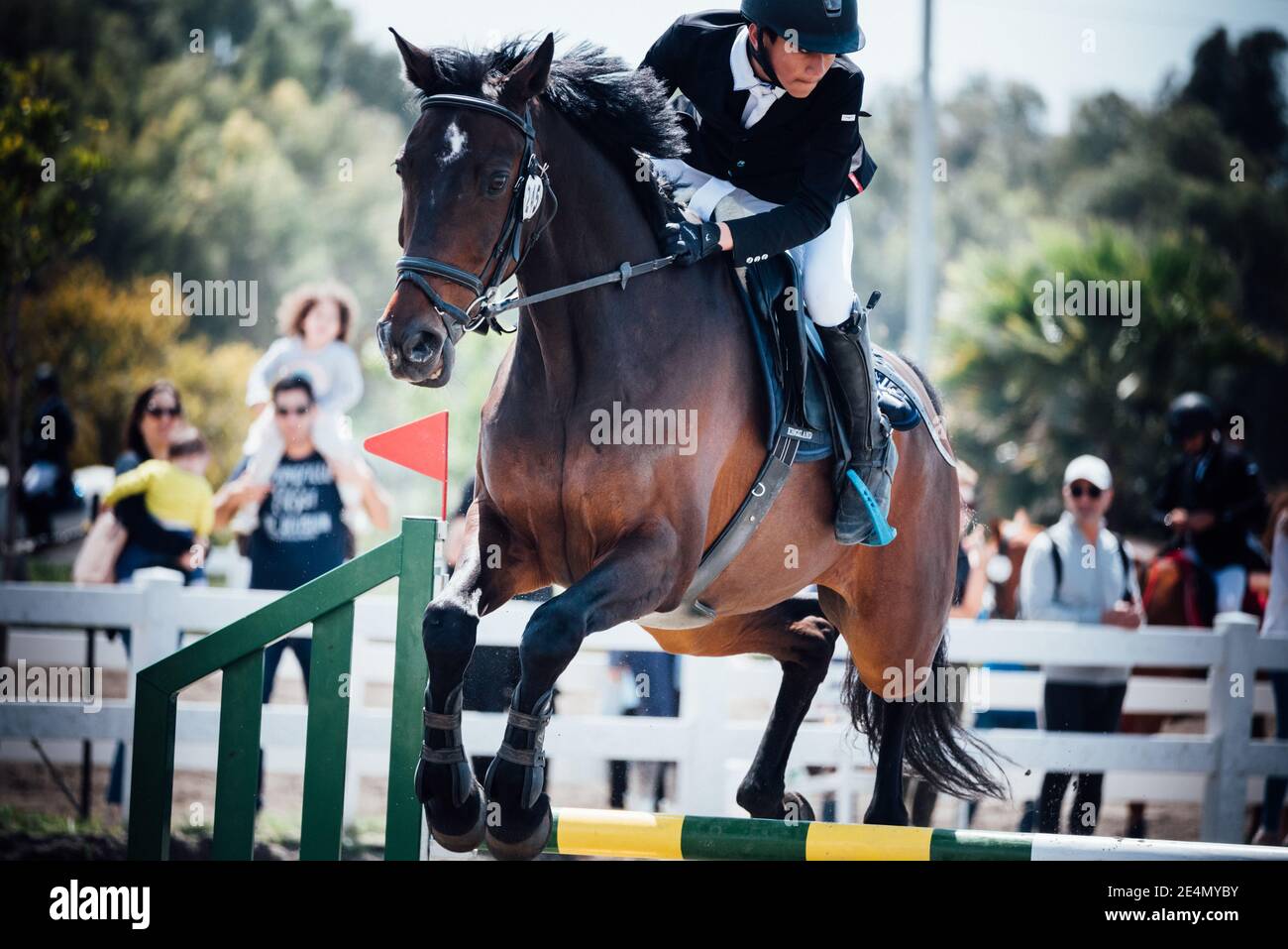 Daniel With Abu-Dhabi at FEI World Jumping Challenge Stock Photo - Alamy