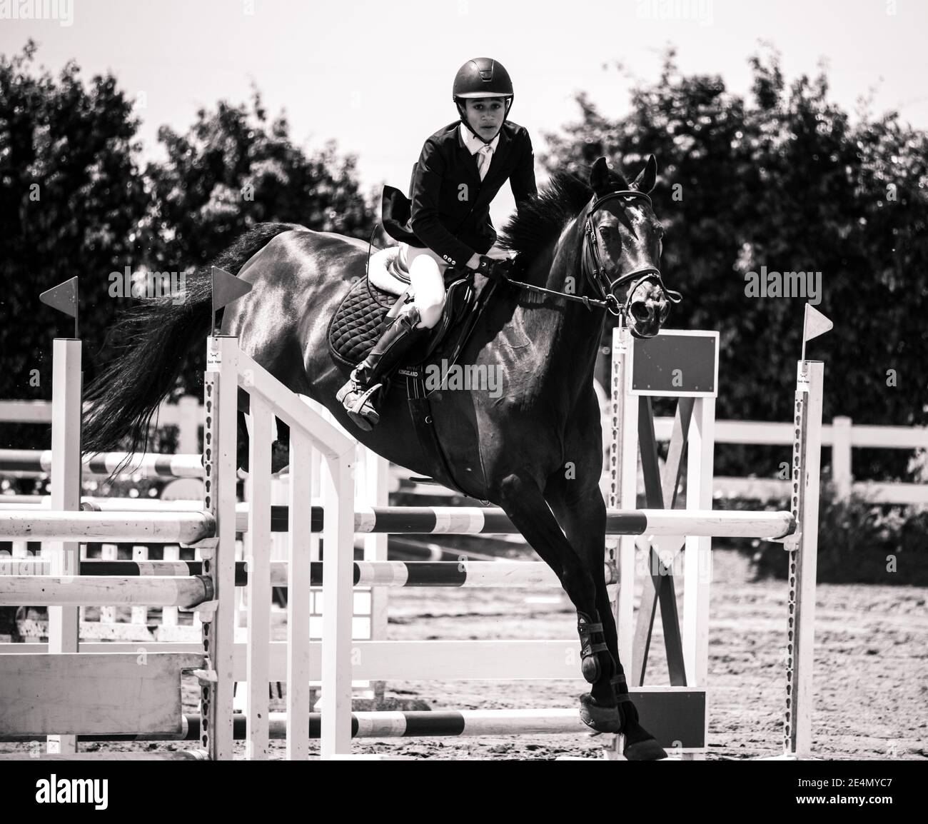 Daniel With Abu-Dhabi at FEI World Jumping Challenge Stock Photo - Alamy