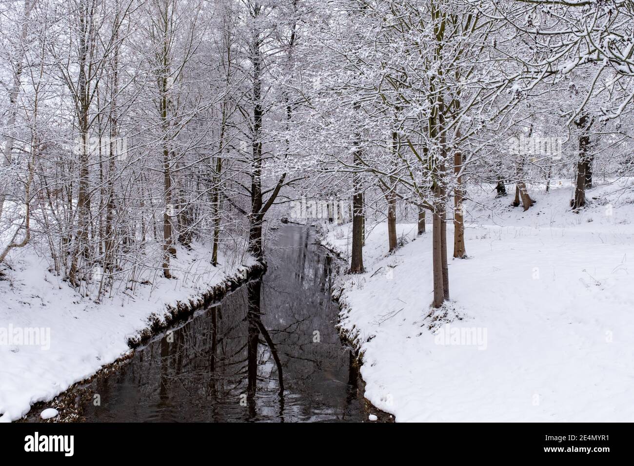 Snow falling off tree hi-res stock photography and images - Alamy
