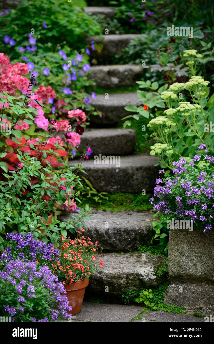 pots,containers,container gardening,flowers,steps,path,,mixed planting ...