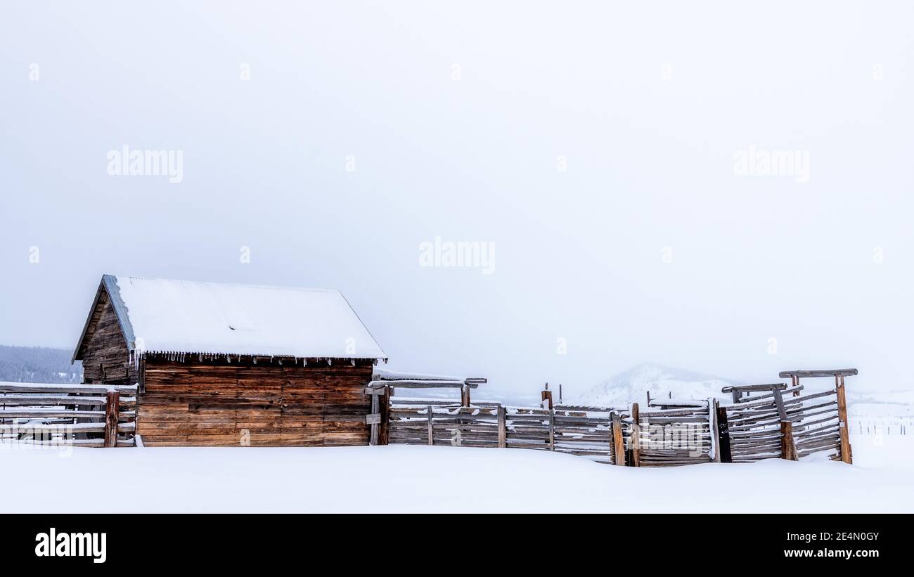 Western corral hi-res stock photography and images - Alamy