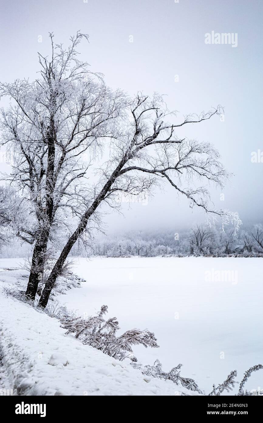 Rime ice trees hi-res stock photography and images - Alamy