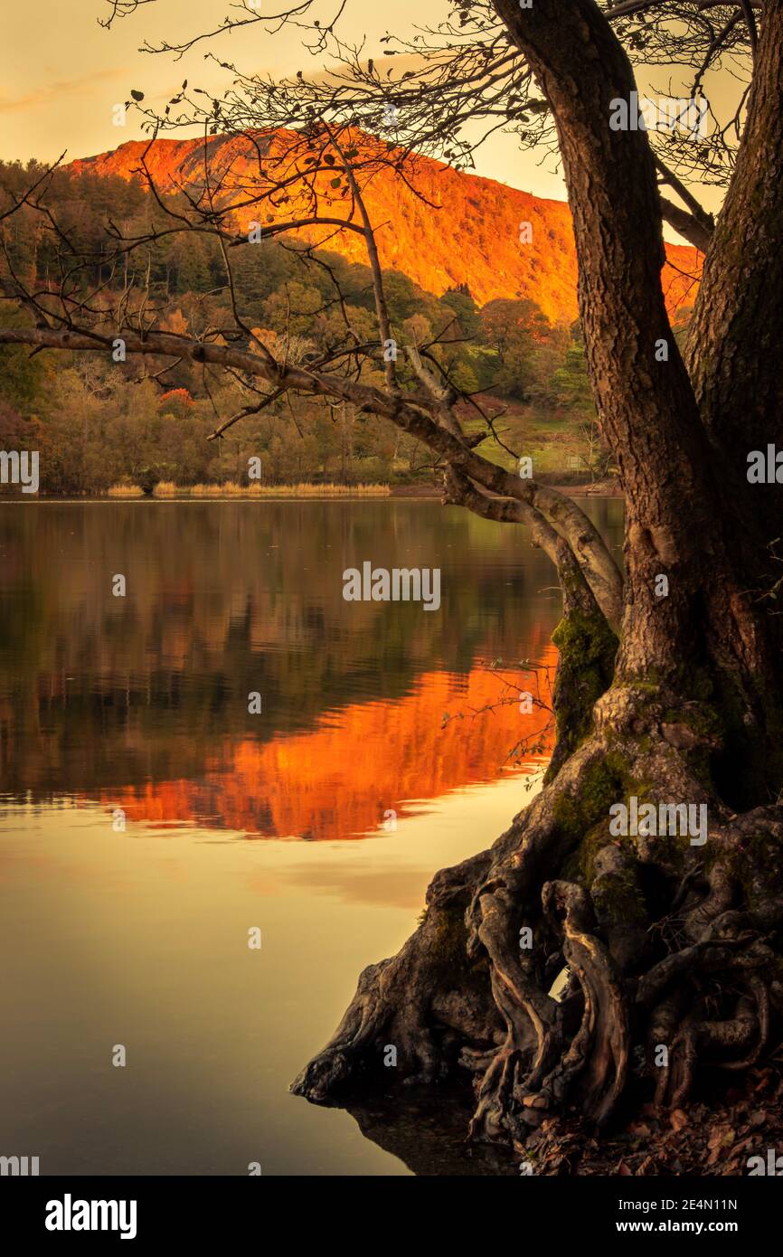 alpine glow on the hills of the lake district Stock Photo - Alamy