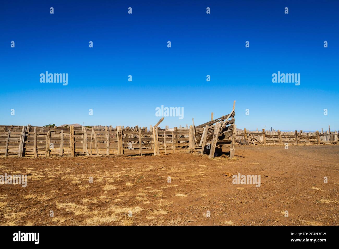 Arizona ranch cattle hi-res stock photography and images - Alamy
