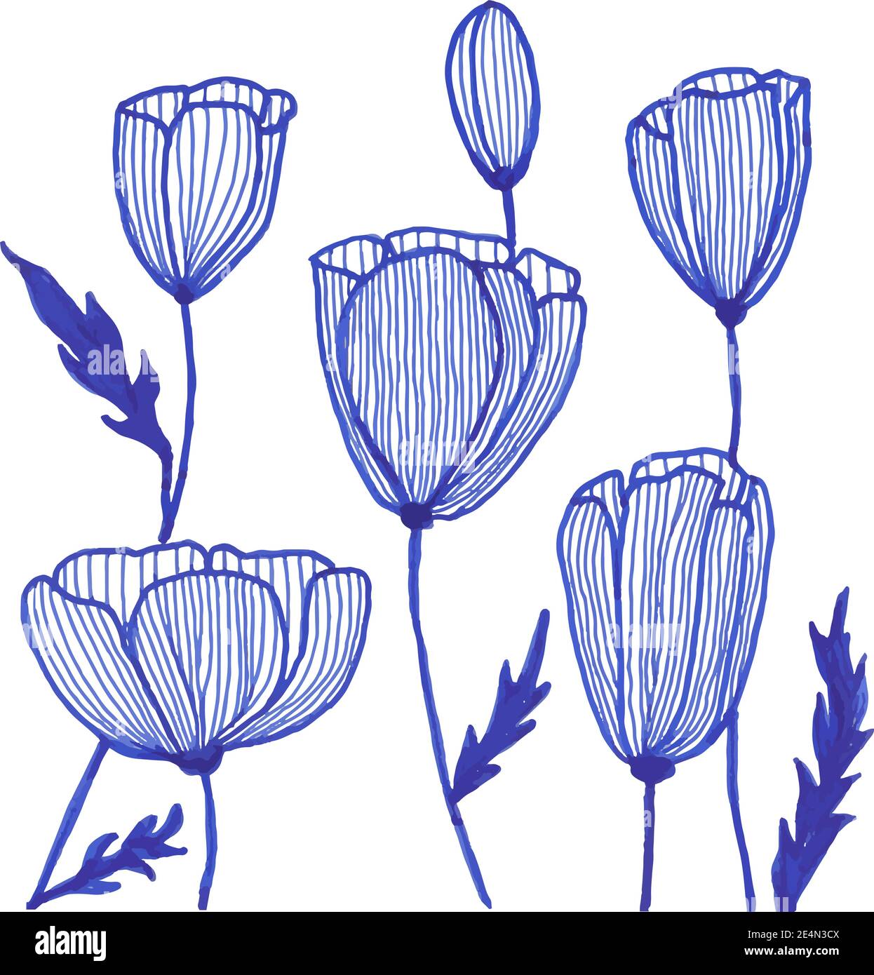 ink blue spring flower illustration hand drawn Stock Vector Image & Art ...