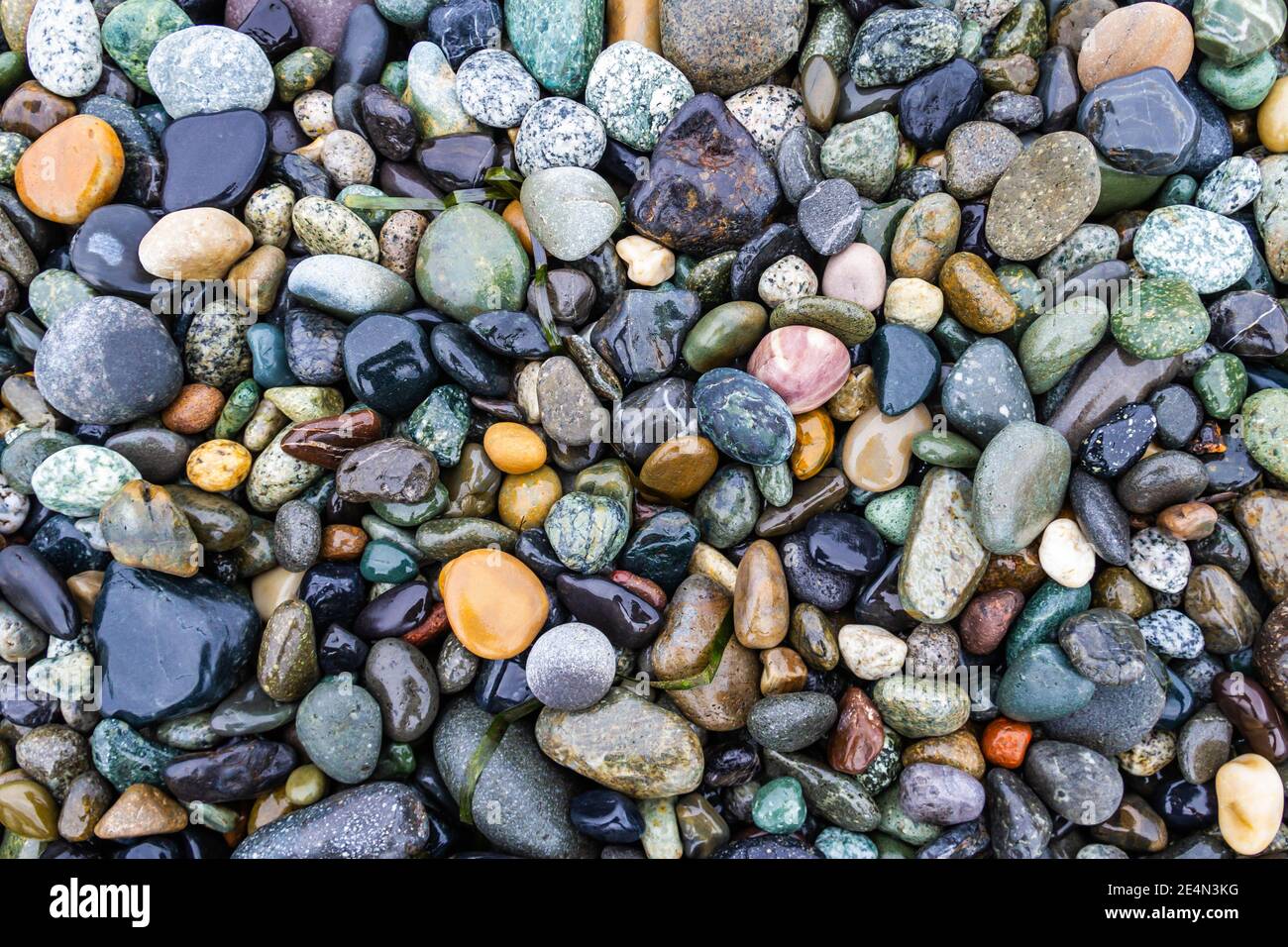 Colorful smooth rocks on the beach covered in water Stock Photo - Alamy