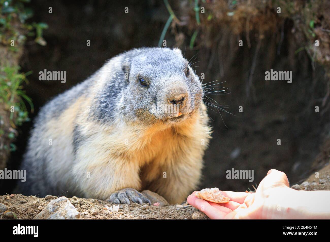 Spielboden switzerland hi-res stock photography and images - Alamy