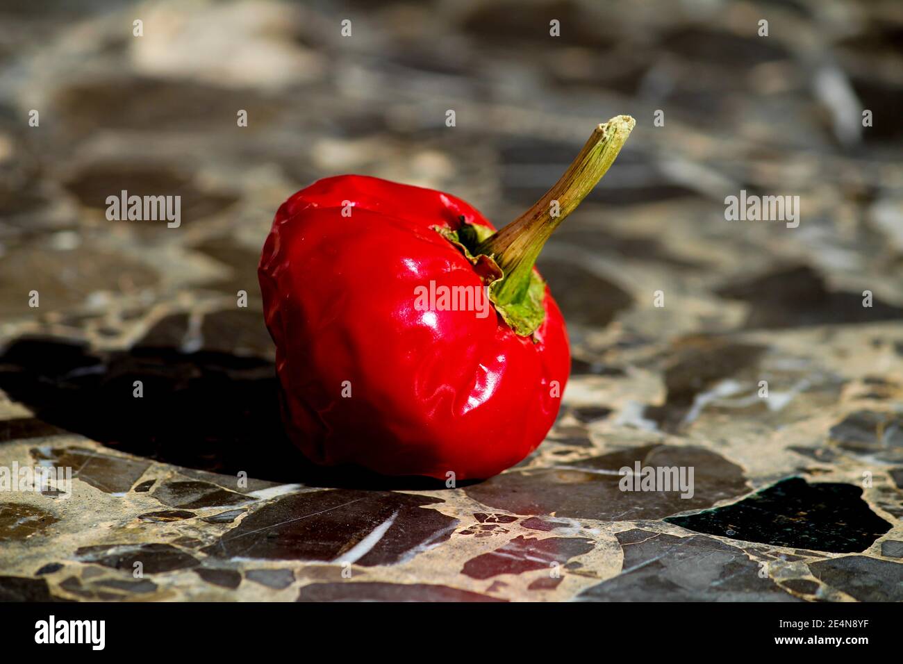 Sun paella hi-res stock photography and images - Alamy