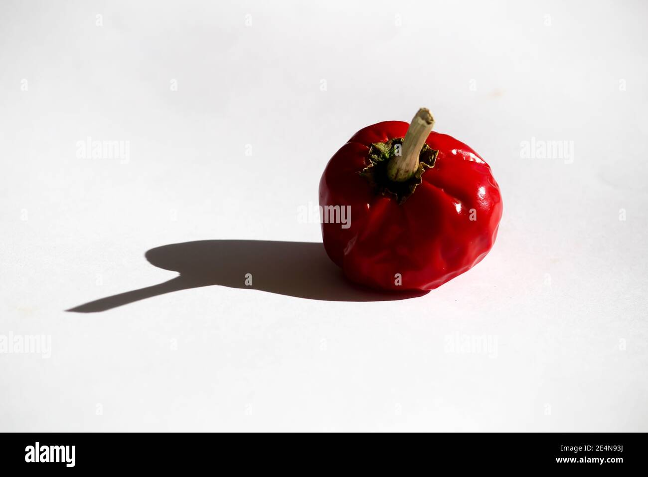 Spanish Red pepper on white background under the sun Stock Photo - Alamy