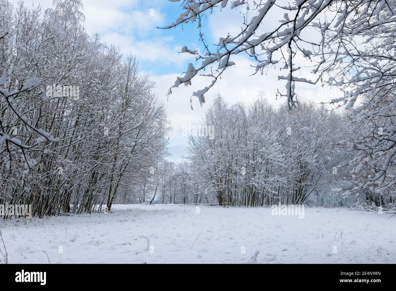 Belgium Landscape Winter