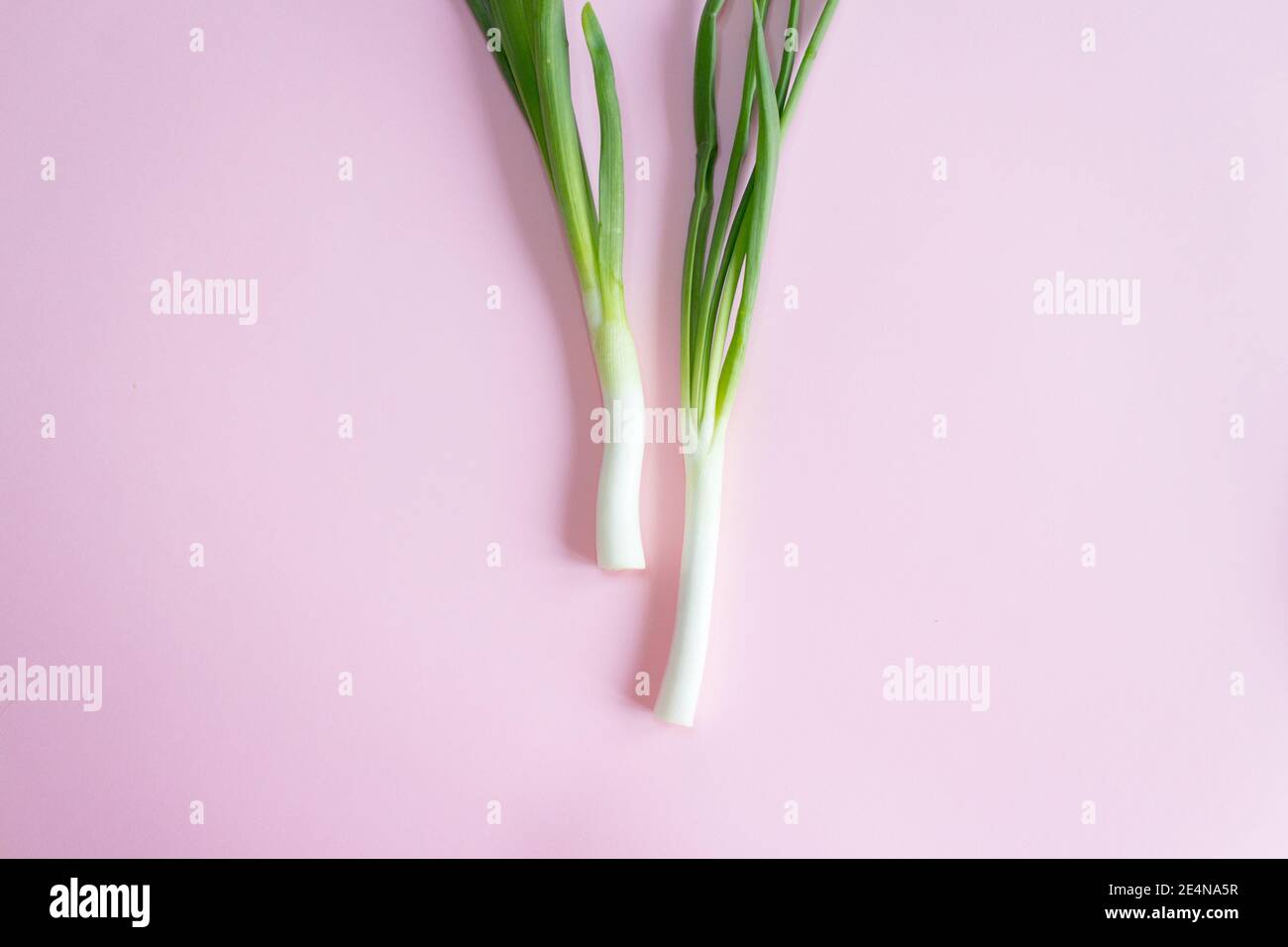green young onions on a pink background, flat lay food Stock Photo - Alamy