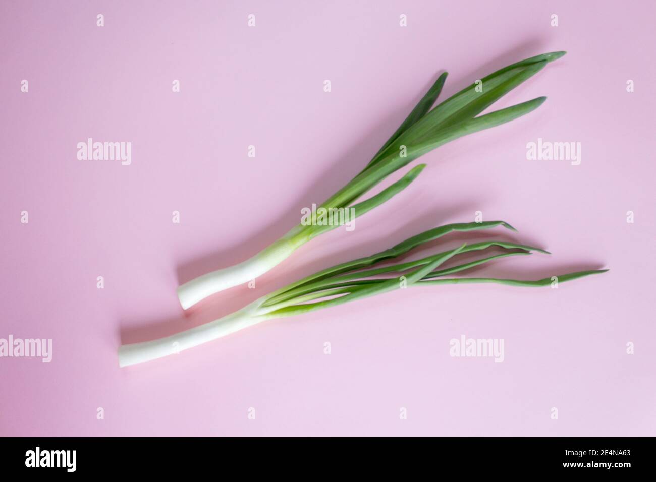Fresh pink onions hi-res stock photography and images - Alamy