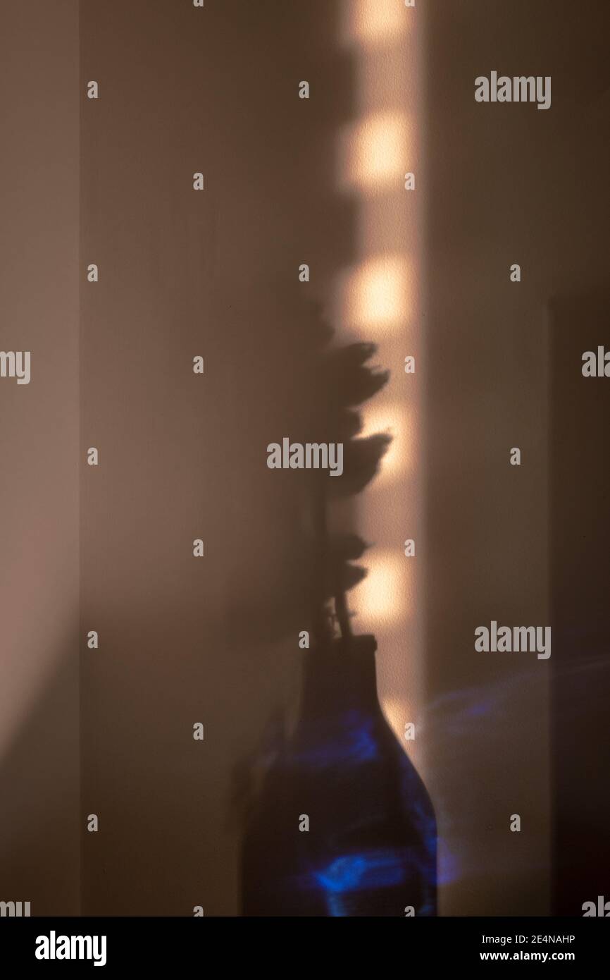 Mystery shadow hi-res stock photography and images - Alamy