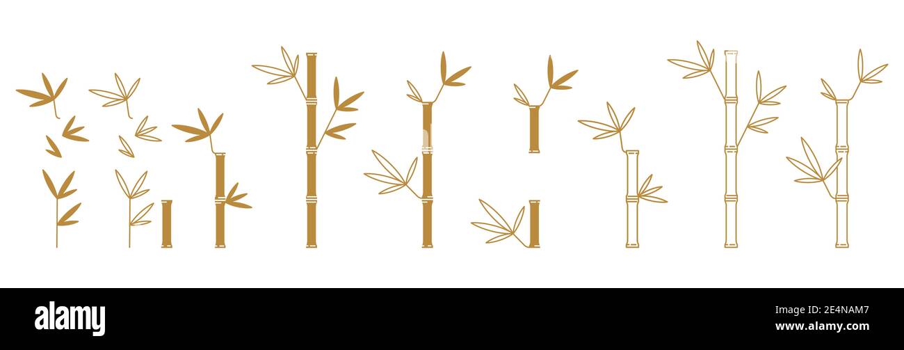 Set of Chinese bamboo branch for greeting card decoration Stock Vector ...
