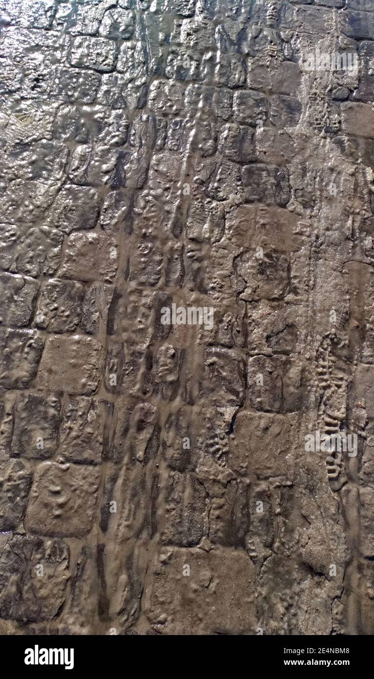 slush in the city - dirty and wet paving tile Stock Photo - Alamy