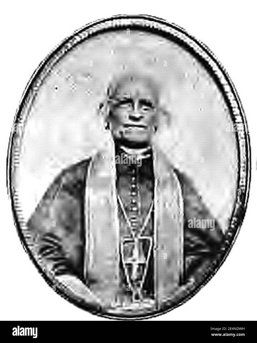 Loras hi-res stock photography and images - Alamy