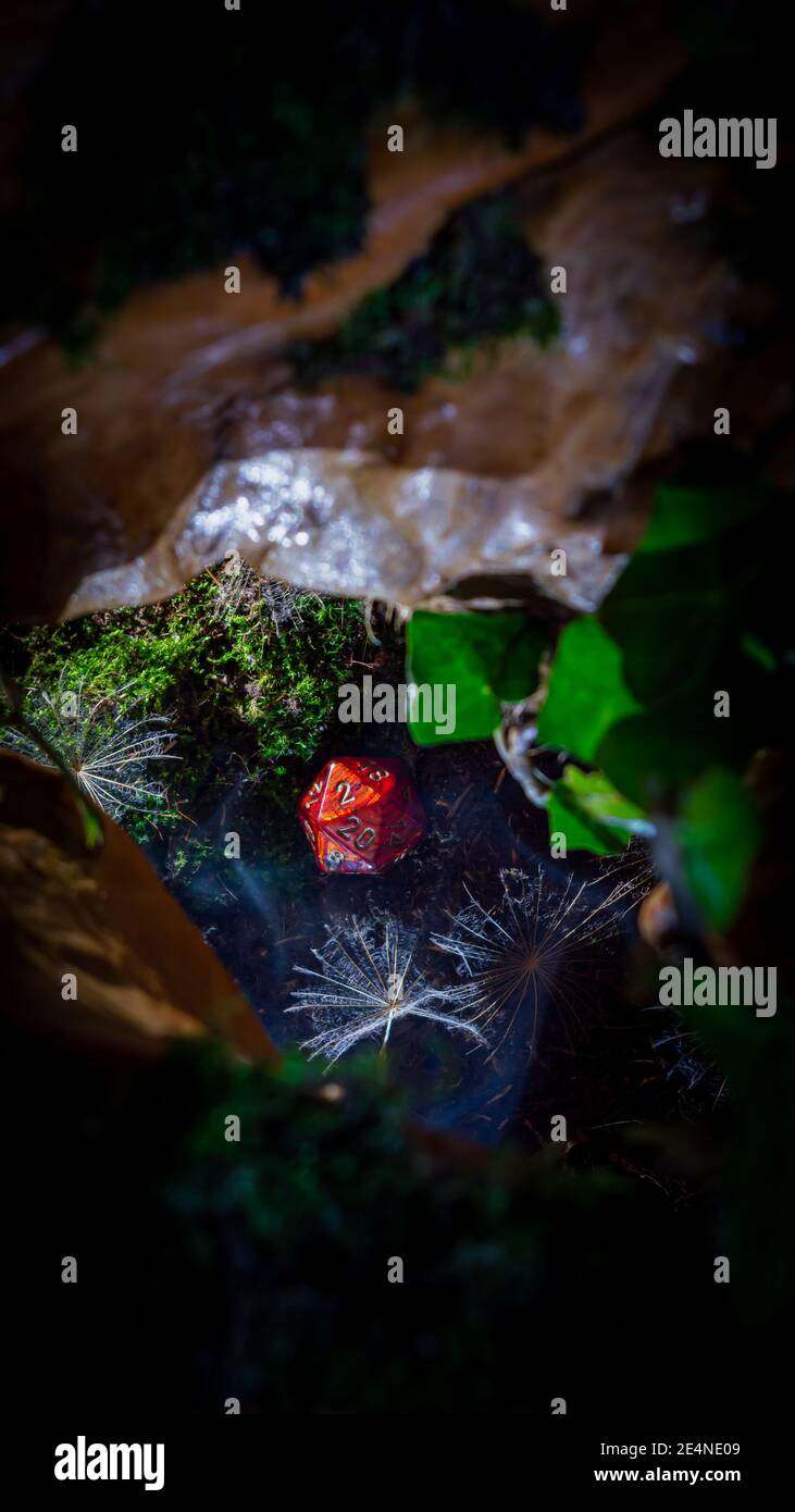 20 sided die on a bed of moss shot from above and through a hole in a ...