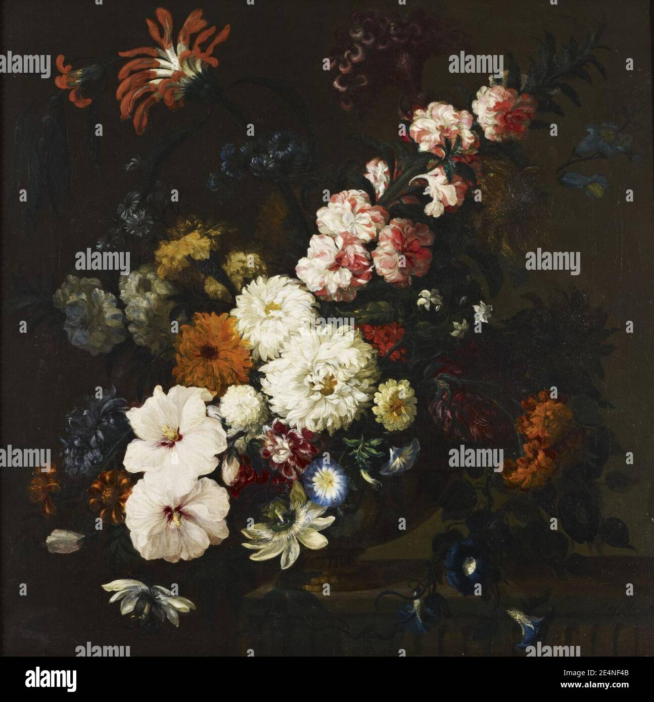 Mary moser hi-res stock photography and images - Alamy