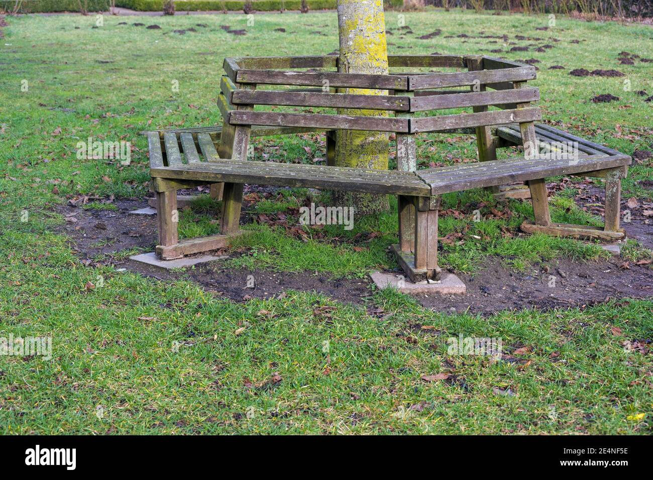 Round wooden tree bench hi-res stock photography and images - Alamy