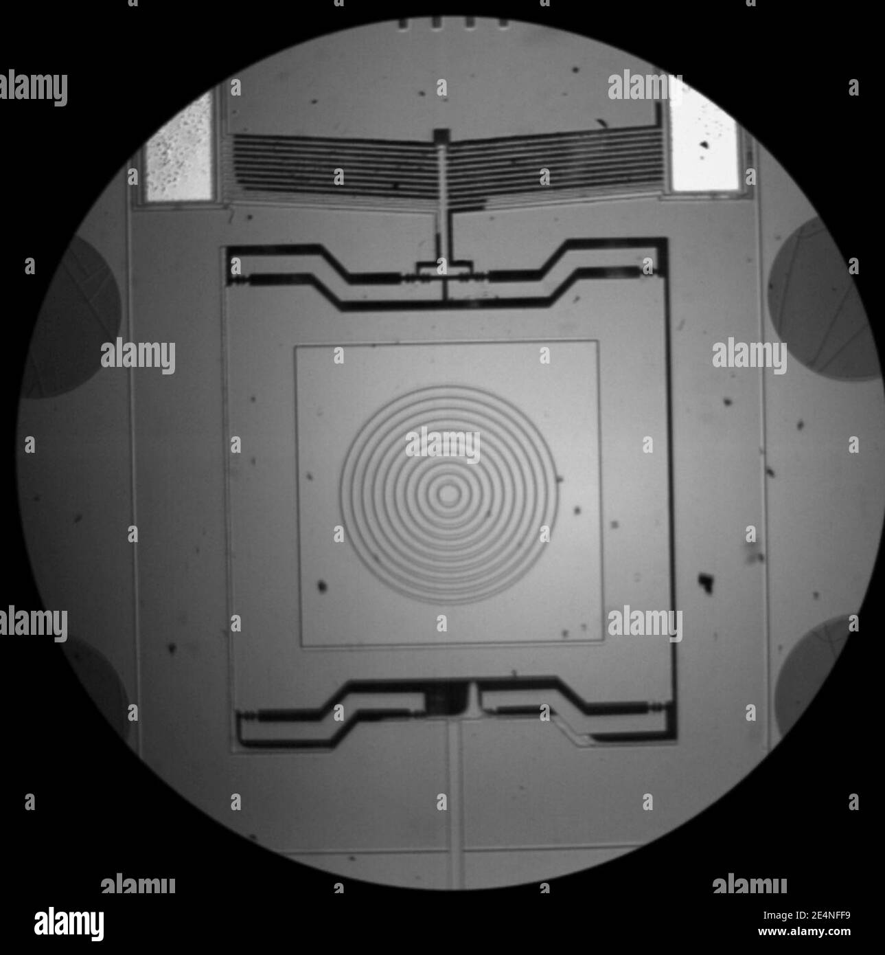 Mems hi-res stock photography and images - Alamy