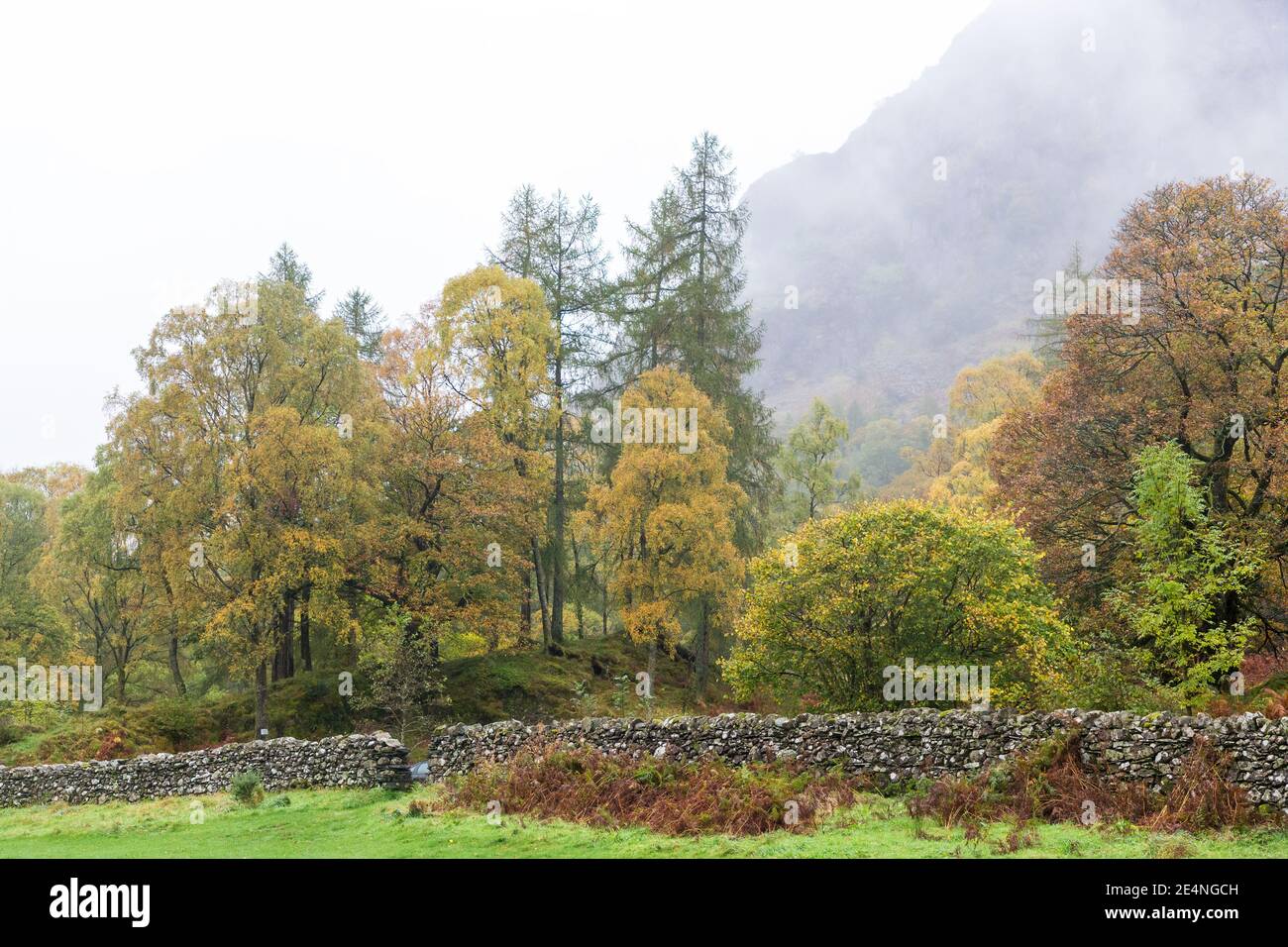 Autumn trees uk hi-res stock photography and images - Alamy