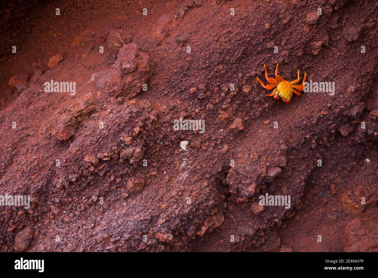 Zayapa, Islas Galapagos, Ecuador Stock Photo - Alamy