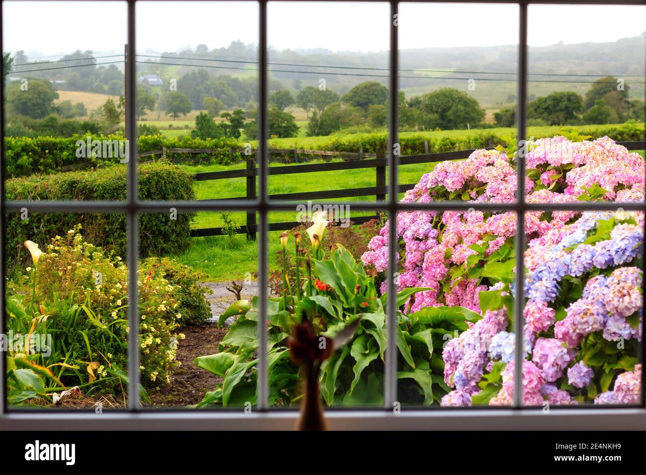 Garden view through window hi-res stock photography and images - Alamy