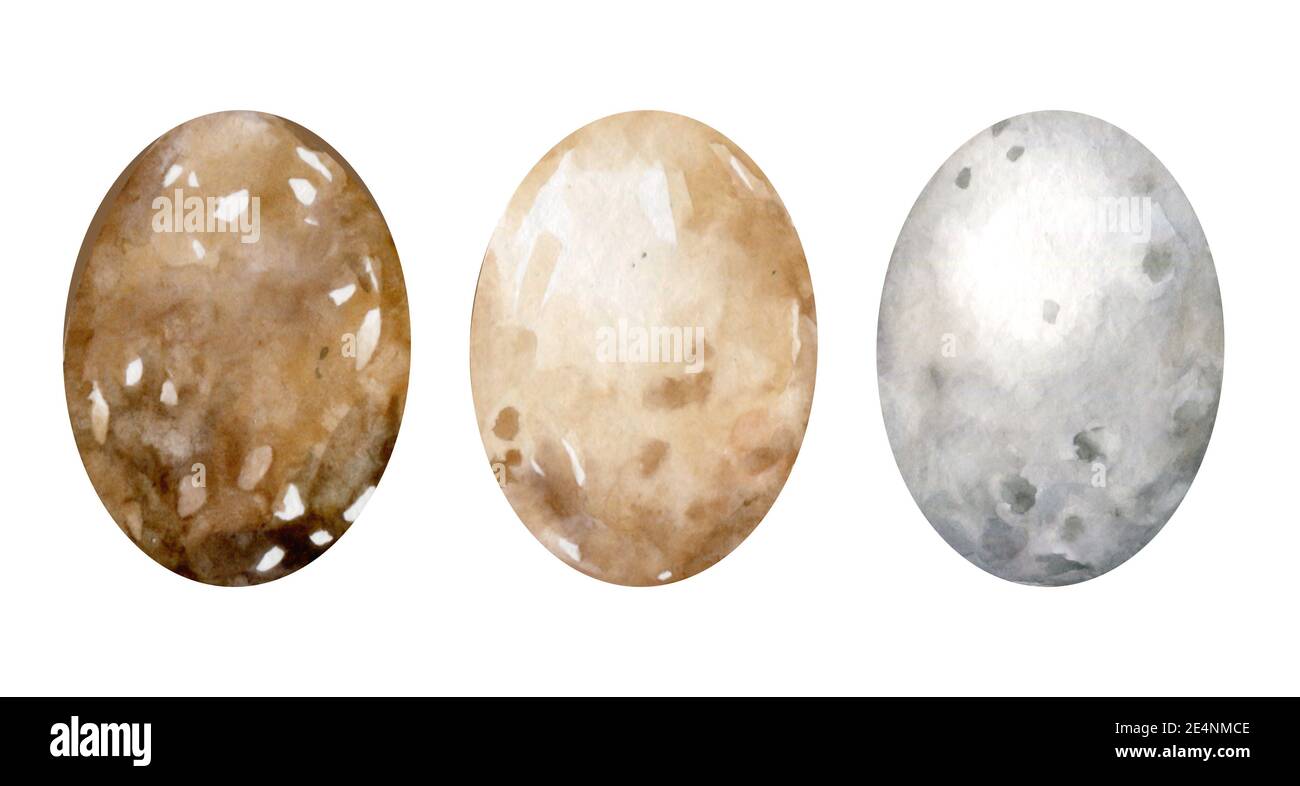 Color Easter eggs for Your design Stock Photo - Alamy