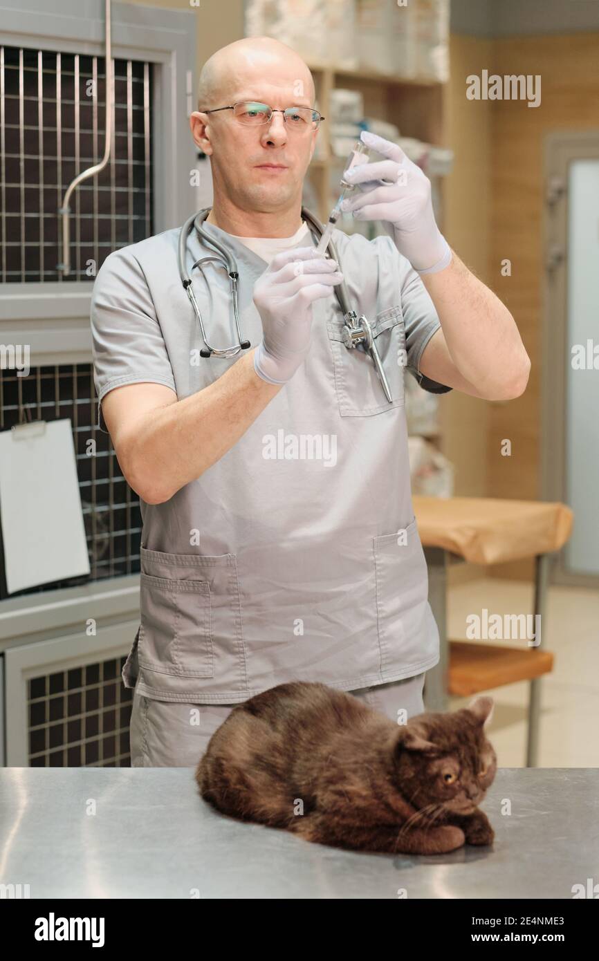 Mature vet in uniform holding syringe in his hands making an injection ...