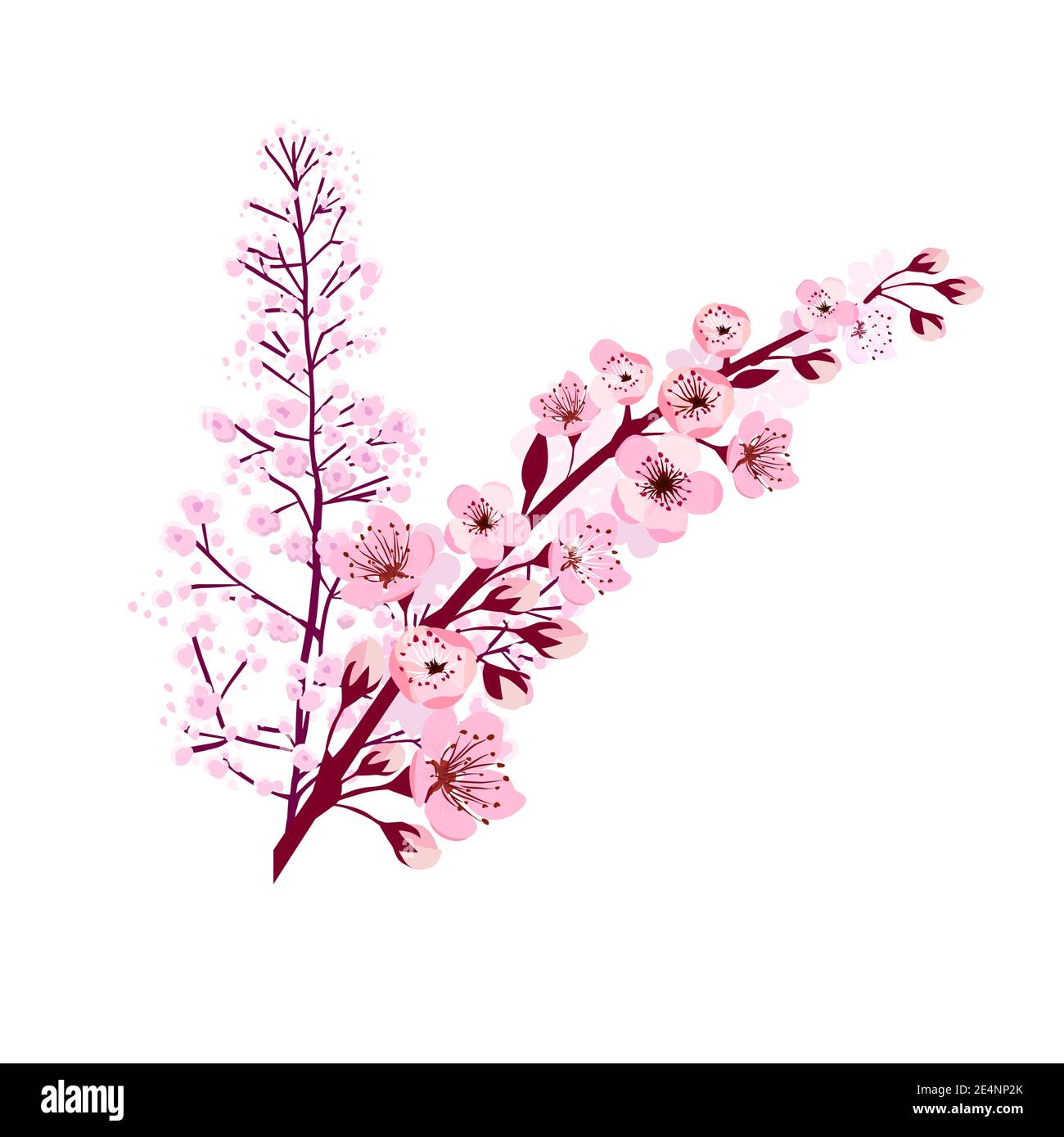 A branch of sakura. Vector illustration Stock Vector Image & Art - Alamy